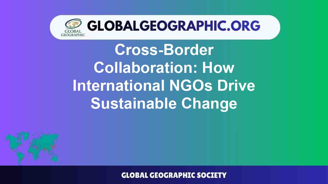 Cross-Border Collaboration: How International NGOs Drive Sustainable ...